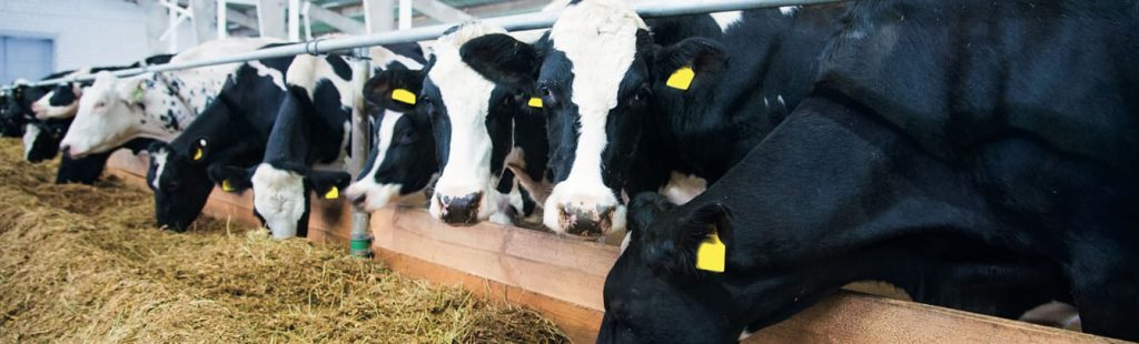 About | Gro-AgriGro Agri