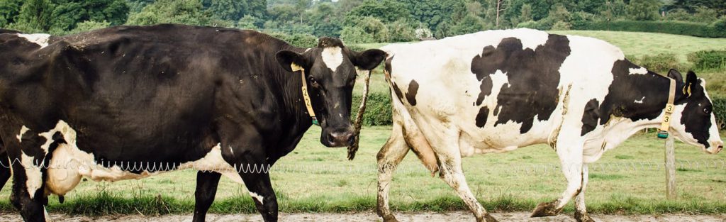 Projects - Gro AgriGro Agri